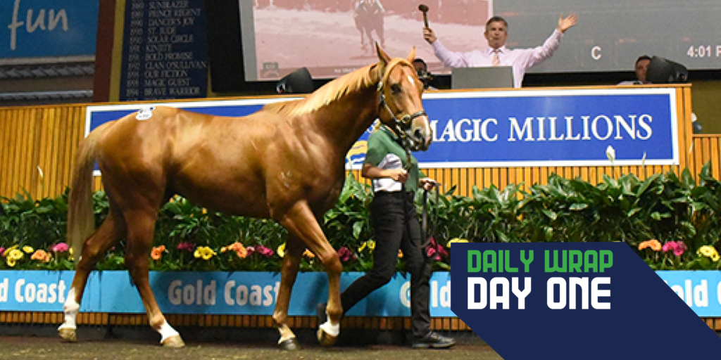 Magic Millions Sale Day One Wrap - The Racing League