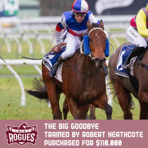 The QLD Rogues - 2022 Racing League Premiers