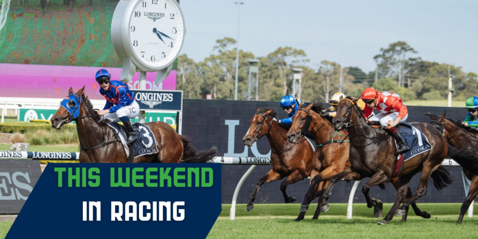 This Weekend In Racing: Nothing Stops The Races - The Racing League