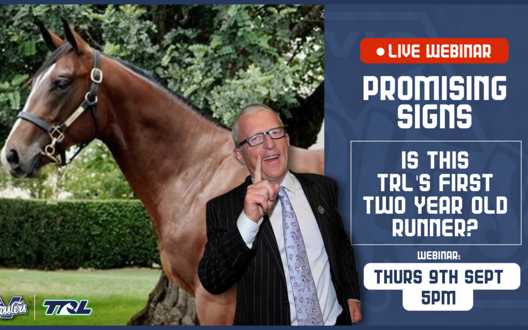 Promising Signs: TRL Webinar with Mick Price - The Racing League