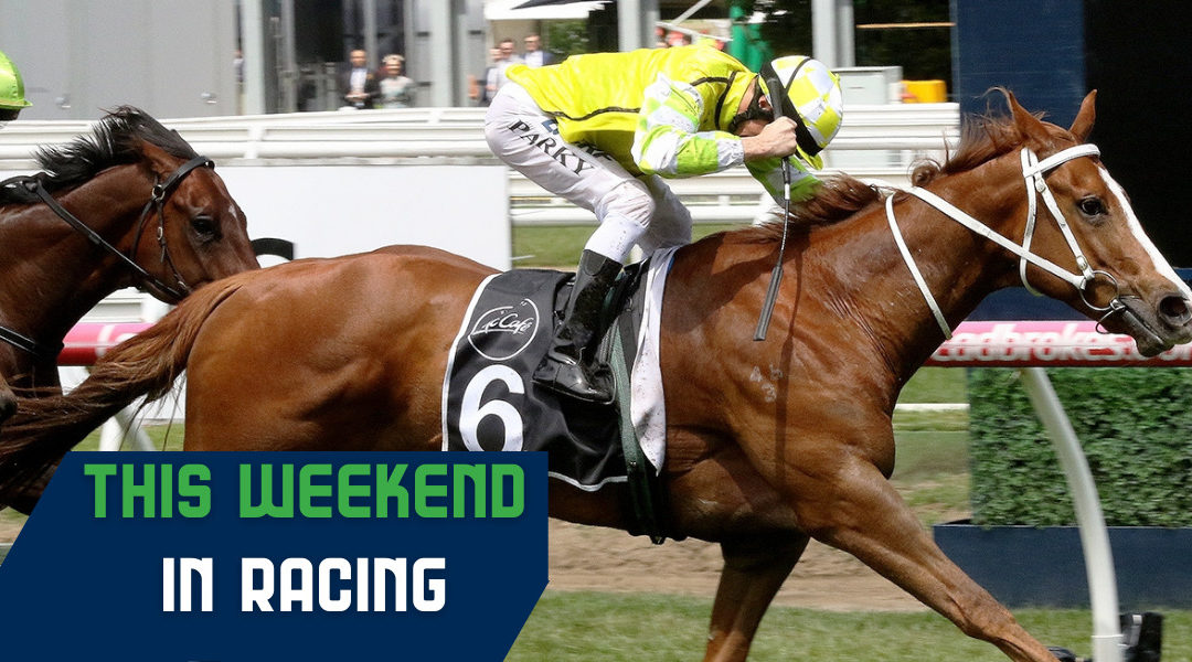 This Weekend In Racing: Group Racing Returns - The Racing League