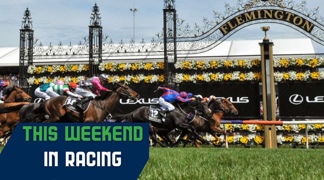 This Weekend in Racing: Countdown to the Cup - The Racing League