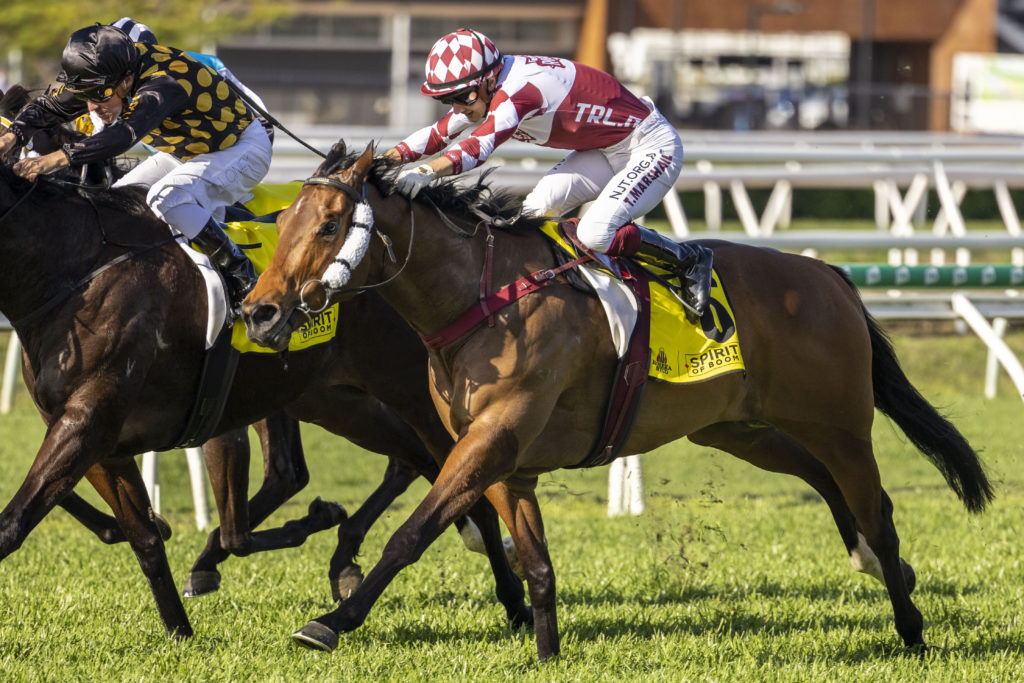 The Racing League Delivers - It's A Fact - The Racing League