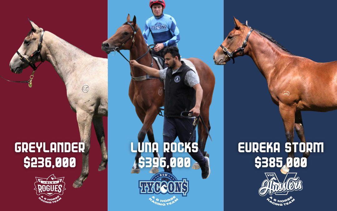 TRL News straight from the horses mouth