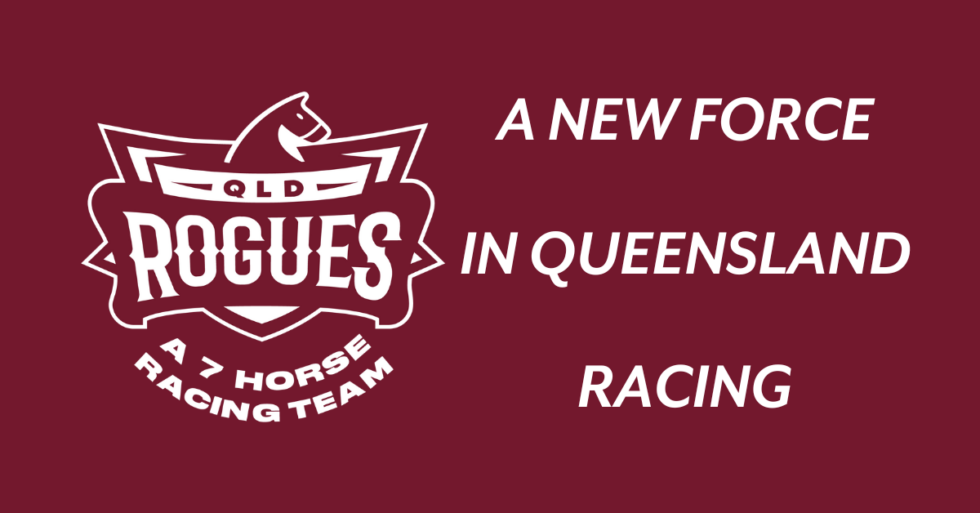 A NEW FORCE IN QLD RACING - The Racing League