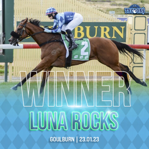 Winners - The Racing League