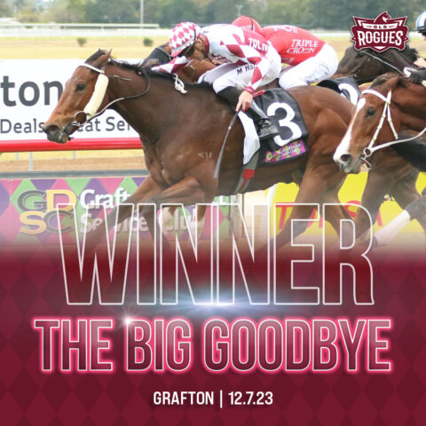 Winners - The Racing League